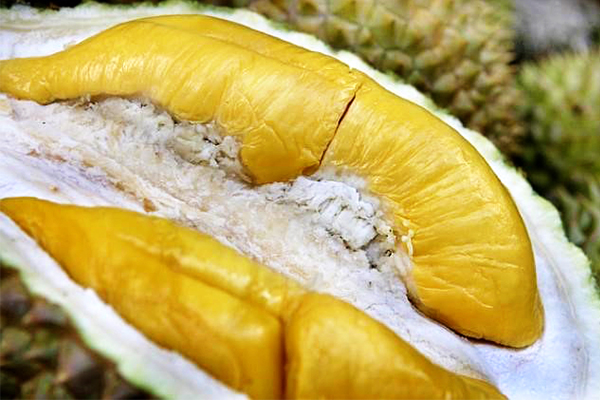 Musang King is 'Hao Chi': Students viral on China's social media