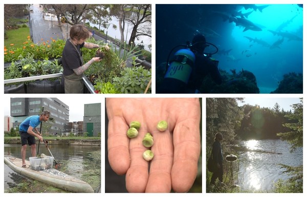 CNN's 'Going Green' meets the individuals fighting for a more ...