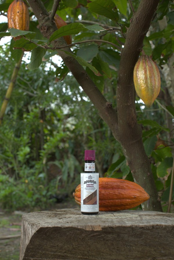 ANGOSTURA® cocoa bitters unveils 'SUSTAINABLE FUTURE' PROGRAMME to ...