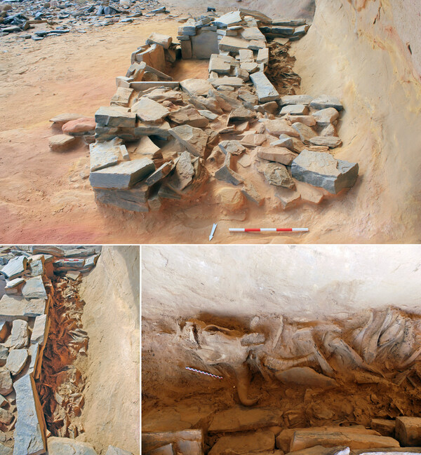 Discovery of ancient 'Horn Chamber' reveals ritual performed at ...