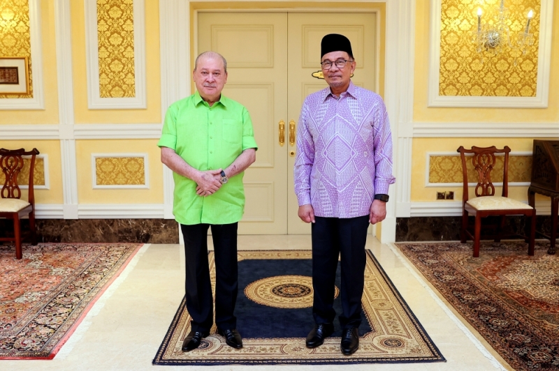 King, Malay rulers support efforts to enhance governance, fight ...